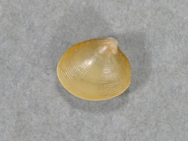 ギャラリー | 鳥羽水族館公式ホームページ